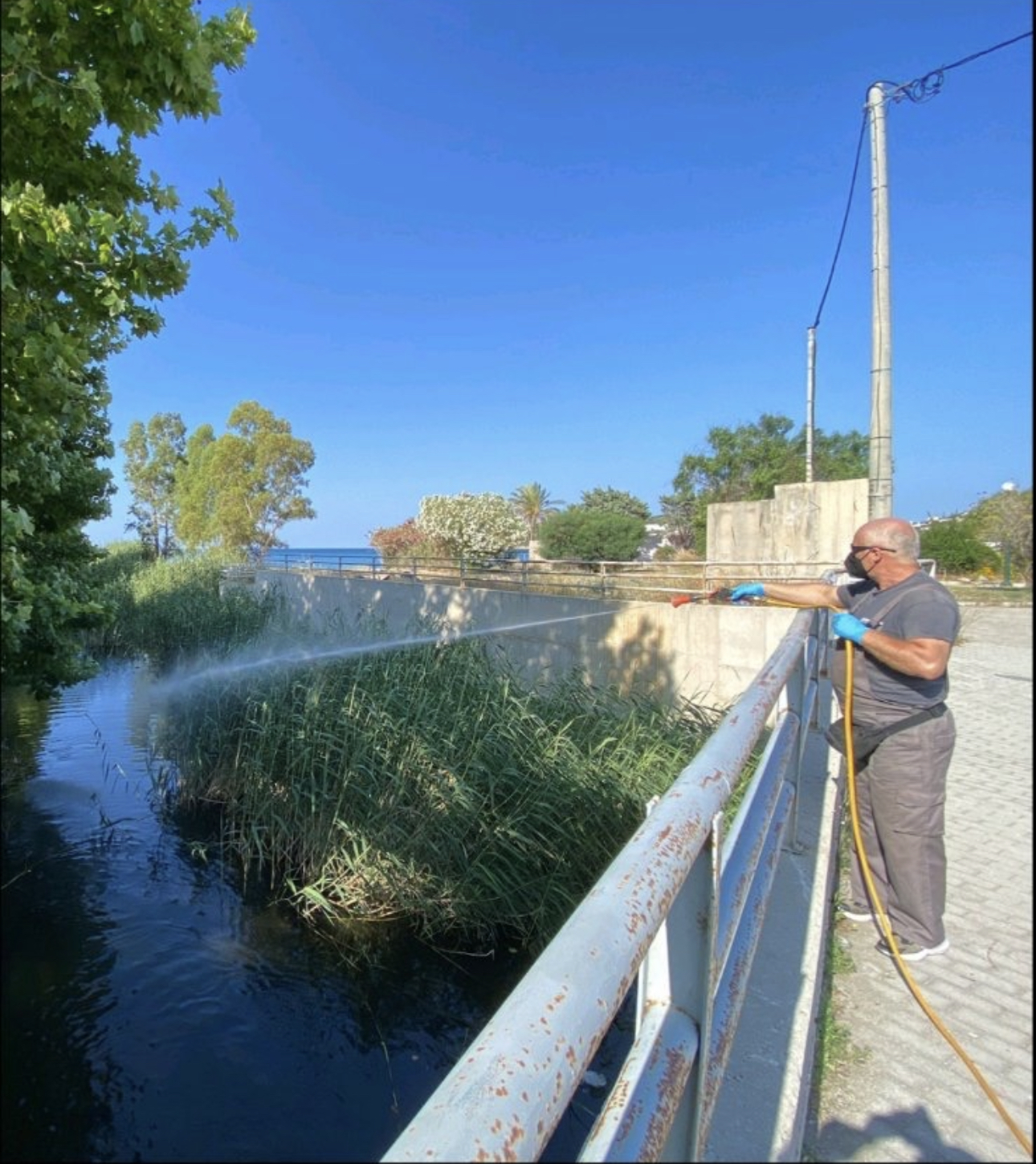 Σε πρόγραμμα καταπολέμησης κουνουπιών, όλες οι Δημοτικές Ενότητες Δήμου ...